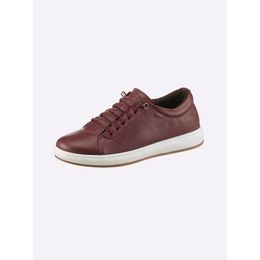 Sneaker Andrea Conti, Damen, Gr. 37, rot (burgund), Glattleder, Leder, Rindsleder, Schuhe Sneaker