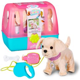 Pl&uuml;schfigur Baby Born "Mein Hund Lucky mit Box", bunt, Pl&uuml;schfiguren, KinderB:28,4cm H:24,3cm T:20cm, Pl&uuml;schfigur, B:28,4cm H:24,3cm T:20cm, Topseller