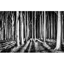 papermoon Fototapete "Photo-Art PIXXELPARK, GEISTERWALD", B/L: 5m x 2,8m, Bahnen: 10 Stk., bunt, Schlafzimmer, Tapeten