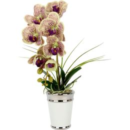 Kunstblume I.GE.A., B:30cm H:52cm L:40cm, lila, Kunstpflanzen, "Orchidee", im Topf, aus Keramik, Seidenblume Real Touch