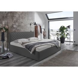 Polsterbett, L:210cm, grau, Westfalia Schlafkomfort, Bezug: Kunstleder 100% Polyurethan, Polsterung: Polsterwatte, Material Gestell: gepolsterter