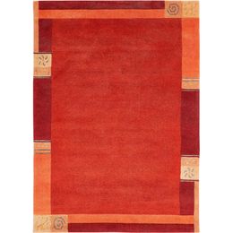 Wollteppich LUXOR living, B:250cm H:20mm L:300cm, rot, Wolle, Wohnzimmer, Teppiche, "India", reine Wolle, handgekn&uuml;pft, mit Bord&uuml;re, auch als L&auml;ufer