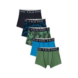 WE Fashion Underpants boy Blue, Green size 170/176