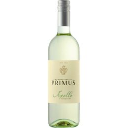 PRIMUS Apollo leichter Sommerwein - Slowenien 2025 Trocken Steiermark &ndash; Wei&szlig;wein Qualit&auml;tswein