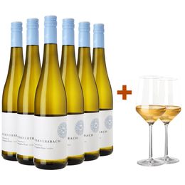 Weingut Wernersbach Rebenmeer Sauvignon Blanc-Paket mit gratis Gl&auml;ser - Rheinhessen &ndash; Probierpaket Diverse