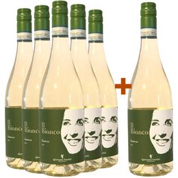 Giovanna Tantini 5+1 Paket Custoza Cuv&eacute;e 2024 Trocken - Venetien &ndash; Probierpaket DOC