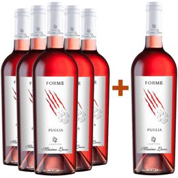 Cantine Massimo Leone 5+1 Paket Forme Rosato Puglia Nero di Troia 2024 Trocken - Apulien &ndash; Probierpaket IGP