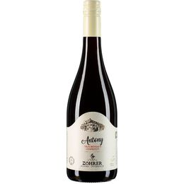Weingut Z&ouml;hrer Antony - Nieder&ouml;sterreich &ndash; Traubensaft mit Kohlens&auml;ure