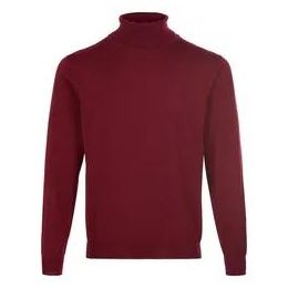 Rollkragen-Pullover Peter Hahn rot, 54