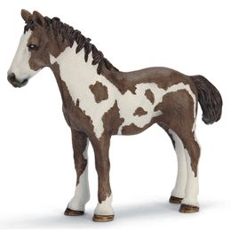 Schleich - 13695 - Farm Life - Pinto J&auml;hrling
