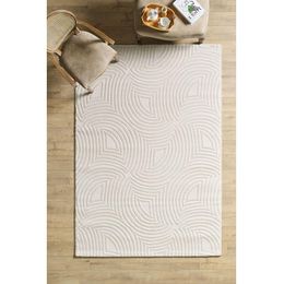 Mioli Kurzflor-Teppich ''Sahara'' in Creme - 69% | Gr&ouml;&szlig;e 120x170 cm |
