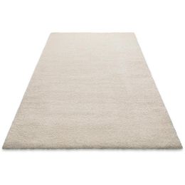 Wecon Home Hochflor-Teppich &raquo;STUDIO zero&laquo; rechteckig 35 mm H&ouml;he weicher und kuscheliger Flor, Wohnzimmer, Schlafzimmer, im Berber-Stil beige 