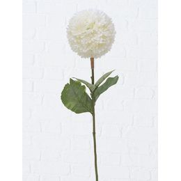 Boltze Kunstblume "Schneeball" in Wei&szlig;/ Gr&uuml;n - (H)76 cm - 23% | Kerzen-vasen