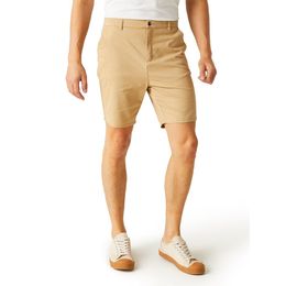Regatta Shorts "Sabden" in Beige - 75% | Gr&ouml;&szlig;e 58 | Herren-plussize