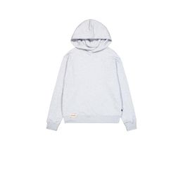 Alpha Industries Herren Hoodie &raquo;Studio Edition Hoodie&laquo; grau M