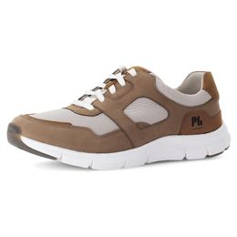 Pius Gabor Herren Keilsneaker , Schn&uuml;rschuh, Halbschuh, Freizeitschuh in bequemer Weite G (=weit) beige 7 (40,5)