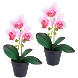 Kunstorchidee I.GE.A. "Orchidee im Topf 2er Set", rosa, B:18cm H:30cm L:9cm, Polyester, Kunstpflanzen, K&uuml;nstliche Phalaenopsis 30cm Real Touch Blume Kunstblume Seidenblume