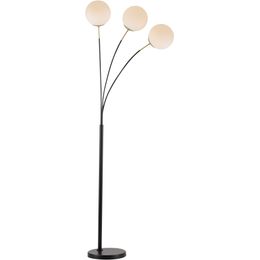 Stehlampe "Elorea", schwarz, messing, 3, &Oslash; 16cm H: 160cm, 1 Stk., LeGer Home by Lena Gercke, Leuchten, Stehlampe