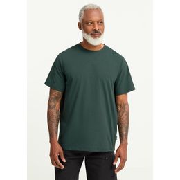 T-Shirt Jack Wolfskin "TRAVEL T M", Herren, Gr. M (50), sagopalm, Obermaterial: 100% POLYESTER, Shirts T-Shirt