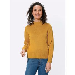 Stehkragenpullover