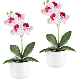 Kunstorchidee Creativ green, H:27cm, pink, Kunststoff, Kunstpflanzen, "Orchidee Phalaenopsis", mit real-touch-Bl&uuml;ten