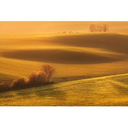 papermoon Fototapete "Landschaft", B/L: 4m x 2,6m, Bahnen: 8 Stk., bunt, Schlafzimmer, Tapeten