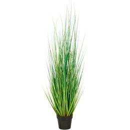 Kunstgras Creativ green, H:145cm, gr&uuml;n, Kunststoff, Kunstpflanzen, "Grasbusch Miscanthus", mit naturgetreuen Grashalmen