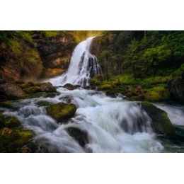 papermoon Fototapete "Photo-Art DANIEL GASTAGER, FR&Uuml;HLINGSFLUT", B/L: 5m x 2,8m, Bahnen: 10 Stk., bunt, Schlafzimmer, Tapeten