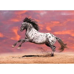 papermoon Fototapete "Pferd", B/L: 3m x 2,23m, Bahnen: 6 Stk., bunt, Schlafzimmer, Tapeten