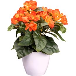 Kunstblume Creativ green, H:28cm, orange, Kunststoff, Kunstpflanzen, "Begonie", mit farbenfrohen Bl&uuml;ten