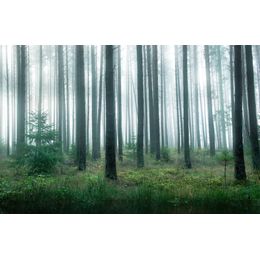 papermoon Fototapete "Photo-Art CHRISTIAN LINDSTEN, SEE IM WALD", B/L: 5m x 2,8m, Bahnen: 10 Stk., bunt, Schlafzimmer, Tapeten