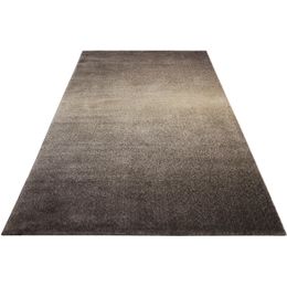 Teppich, B:120cm H:8mm L:180cm, beige, WECON HOME BASICS, Kunstfaser, Wohnzimmer, Teppiche, "Raffael", Wohnzimmer