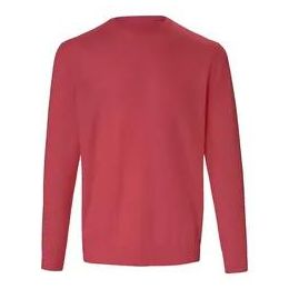 Pullover aus 100% Premium-Kaschmir Peter Hahn rot, 50