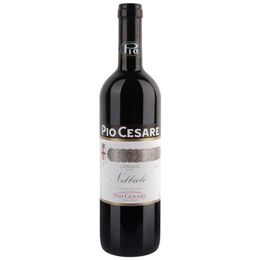 Nebbiolo Langhe - 2022 - Pio Cesare - Italienischer Rotwein