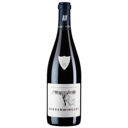 Weingut Friedrich Becker Herrenwingert Pinot Noir Erste Lage trocken - 2019 - Friedrich Becker - Deutscher Rotwein