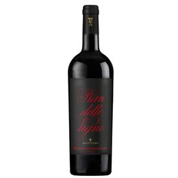 Pian delle Vigne Brunello di Montalcino - 2019 - Marchesi Piero Antinori - Italienischer Rotwein