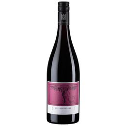 Weingut Friedrich Becker Sp&auml;tburgunder trocken - 2019 - Friedrich Becker - Deutscher Rotwein