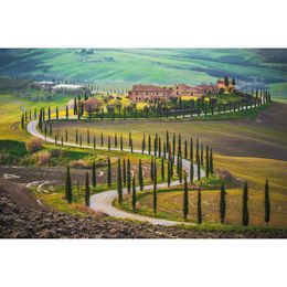 papermoon Fototapete &raquo;Fields in Tuscany&laquo; glatt bunt Vlies