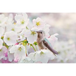 papermoon Fototapete &raquo;Cherra Blossoms&laquo; glatt bunt Vlies