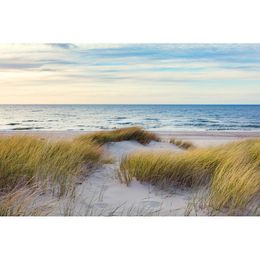 papermoon Fototapete &raquo;D&uuml;nen in der Ostsee&laquo; bunt Vlies