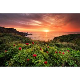 papermoon Fototapete &raquo;Blumenwiese am Meer&laquo; bunt Vlies