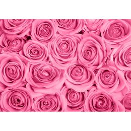 papermoon Fototapete &raquo;Pink Roses&laquo; glatt bunt Vlies
