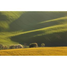 papermoon Fototapete &raquo;H&uuml;gel mit B&auml;umen&laquo; bunt Vlies