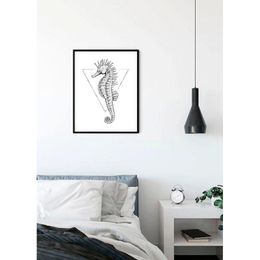 Komar Bild &raquo;Sea Horse White&laquo; Tiere 1 Stk. tlg. Wandbild zur Dekoration - ohne Rahmen silber Holz, Papier