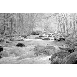 papermoon Fototapete &raquo;Fluss im Wald Schwarz & Wei&szlig;&laquo; schwarz Vlies