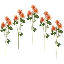 I.GE.A. Kunstblume &raquo;Spinnenprotea&laquo; 5er Set orange Obermaterial: 60% Polyester, 40% Kunststoff