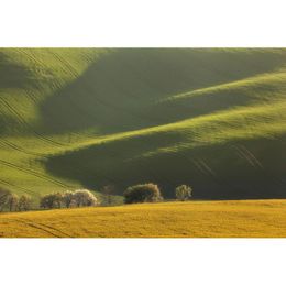 papermoon Fototapete &raquo;H&uuml;gel mit B&auml;umen&laquo; bunt Vlies