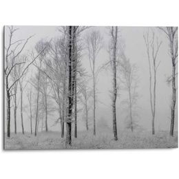 Reinders Wandbild &raquo;Aluminium Wandbild Still Natur - Schwarz-Weiss - Wald - B&auml;ume&laquo; Stillleben 1 Stk. tlg. schwarz Aluminium