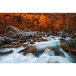 papermoon Fototapete &raquo;Photo-Art MATTEO MUSETTI, ENTSPANNEN SIE SICH&laquo; bunt Vlies