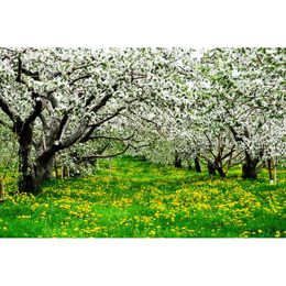 papermoon Fototapete &raquo;Blumenwiese mit B&auml;umen&laquo; bunt Vlies